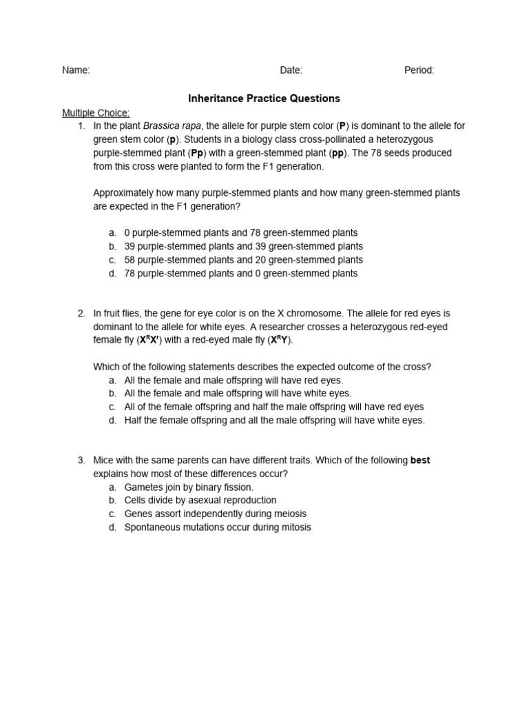 Student Copy of Inheritance Unit Practice Questions 2025 | PDF | Dominance (Genetics) | Genotype