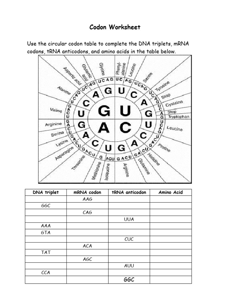 WS - Codon Worksheet - From Internet | PDF