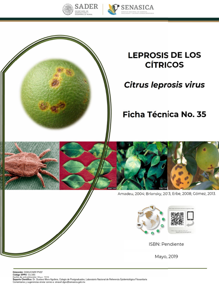 Leprosis de los cítricos: guía completa | PDF | Agrios | Naranja)