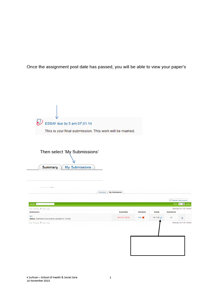 How To View Marked Work Submitted To Turnitin Via Moodle | PDF ...