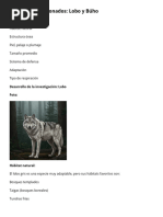Lobos Continuemos Estudiando | PDF | Zoología