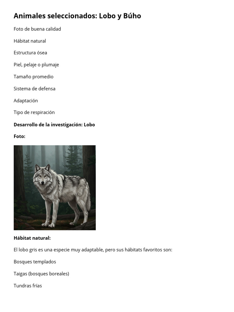Anatomía y Adaptaciones del Búho y Lobo | PDF | Búho | Piel