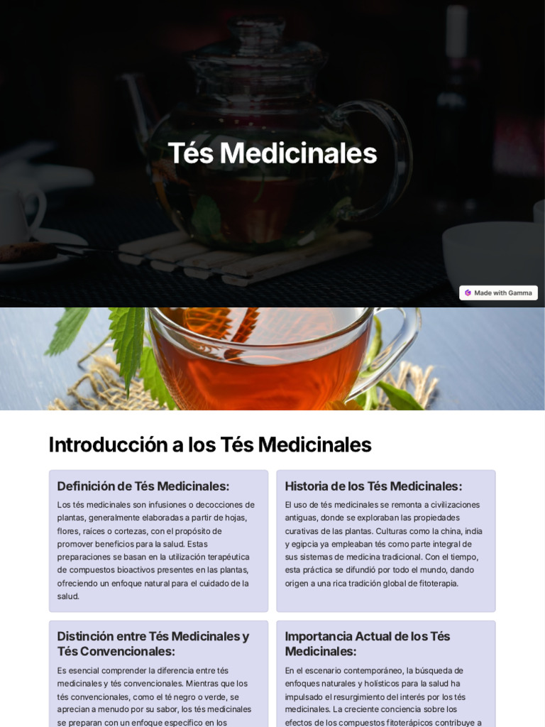 Beneficios y Usos de Tés Medicinales | PDF | Té | Antioxidante