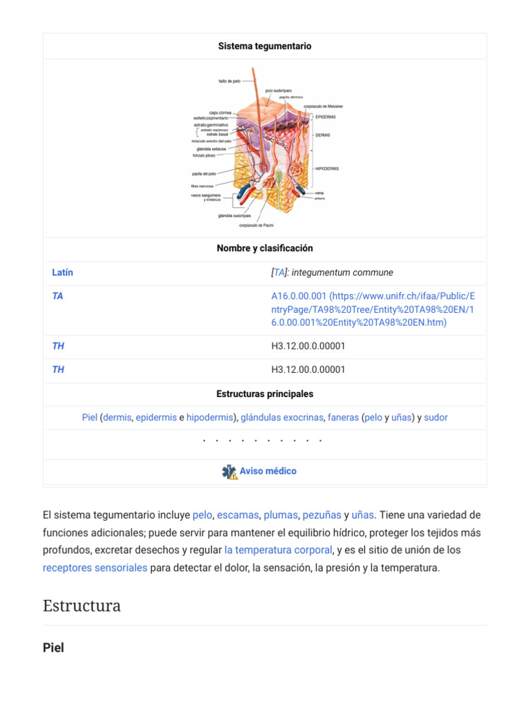 Sistema Tegumentario - Wikipedia, La Enciclopedia Libre | PDF | Sistema tegumentario | Piel