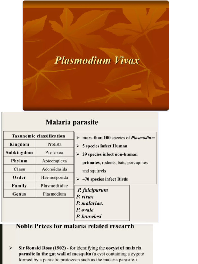 Plasmodium | PDF
