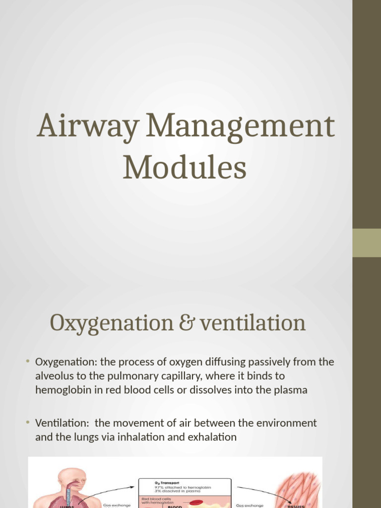 Airway Module 2016 | PDF