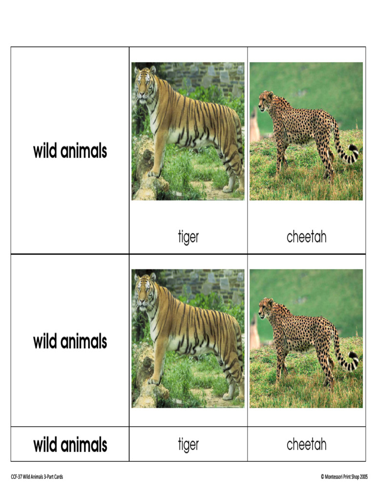CCF-37 Wild Animals | PDF