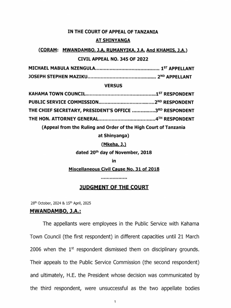 Michael Mabula Nzengula Another Vs Kahama Town Council Others (CIVIL ...