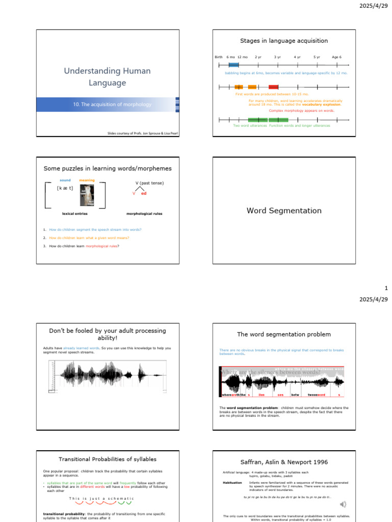 UHL Lecture10 Acquisition of Morphology | PDF | Language Acquisition | Word