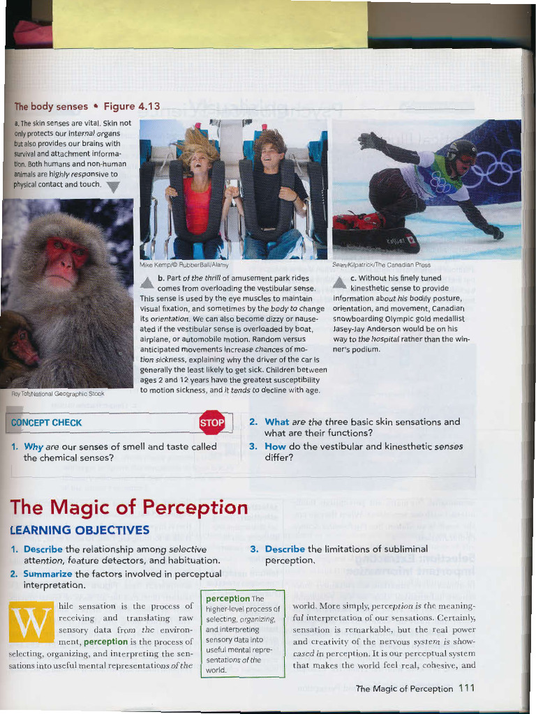 Huffman 2013 Perception | PDF | Perception | Illusion