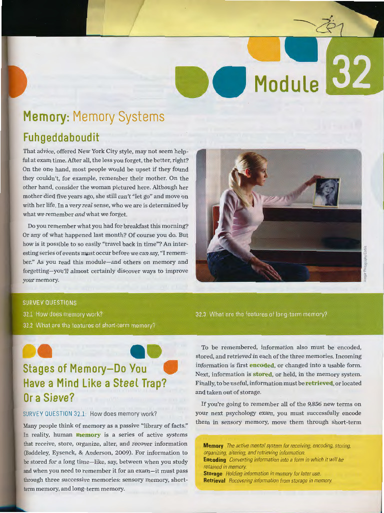 Coon 2015-Memory Systems | PDF