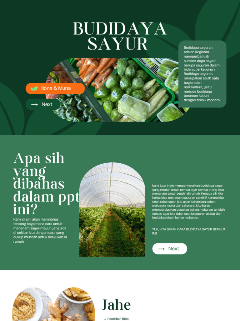 Budidaya Sayur - 20241128 - 191642 - 0000 | PDF