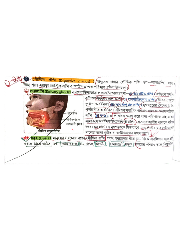 Life Science Class 9 | PDF