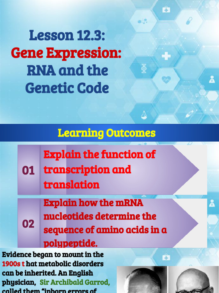 Lesson 12.3_ Gene Expression_ RNA and the Genetic Code | PDF | Genetic ...