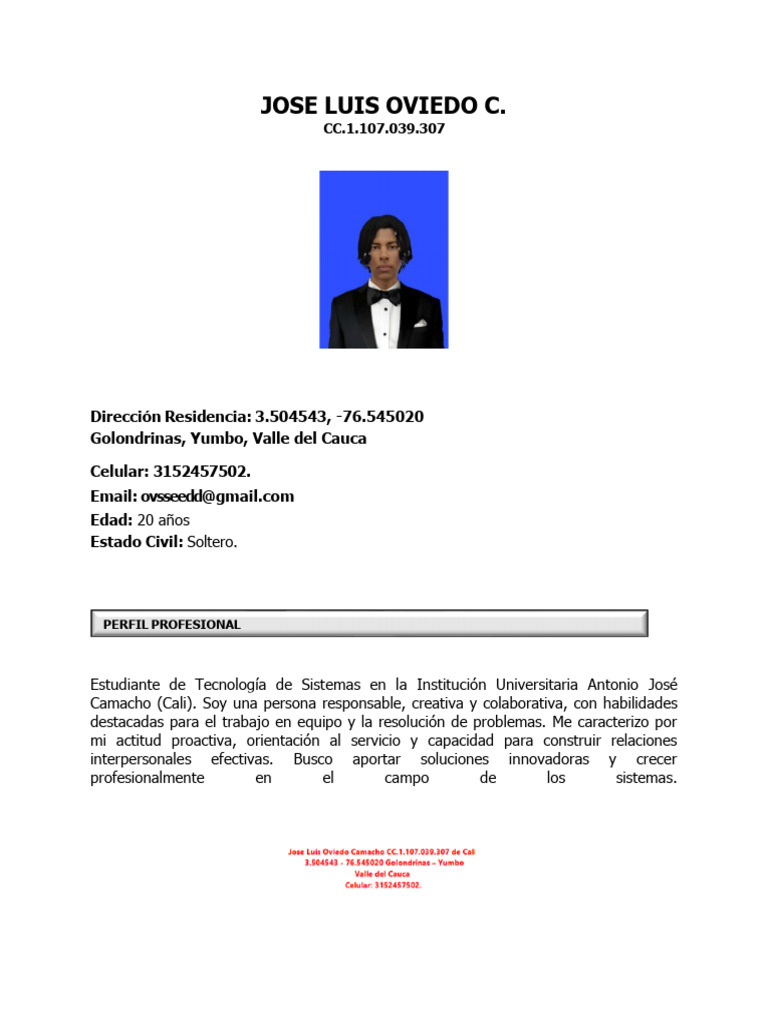 CV JOSE LUIS OVIEDO CAMACHO (2) | PDF