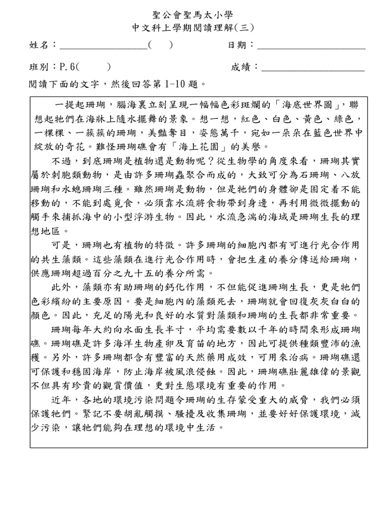 p6 chi 03 閱讀理解三 聖馬太 | PDF