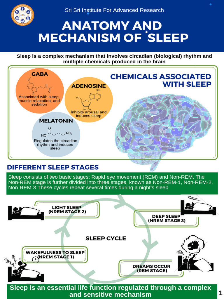 SKY and Sleep Infographic | PDF | Sleep | Rapid Eye Movement Sleep