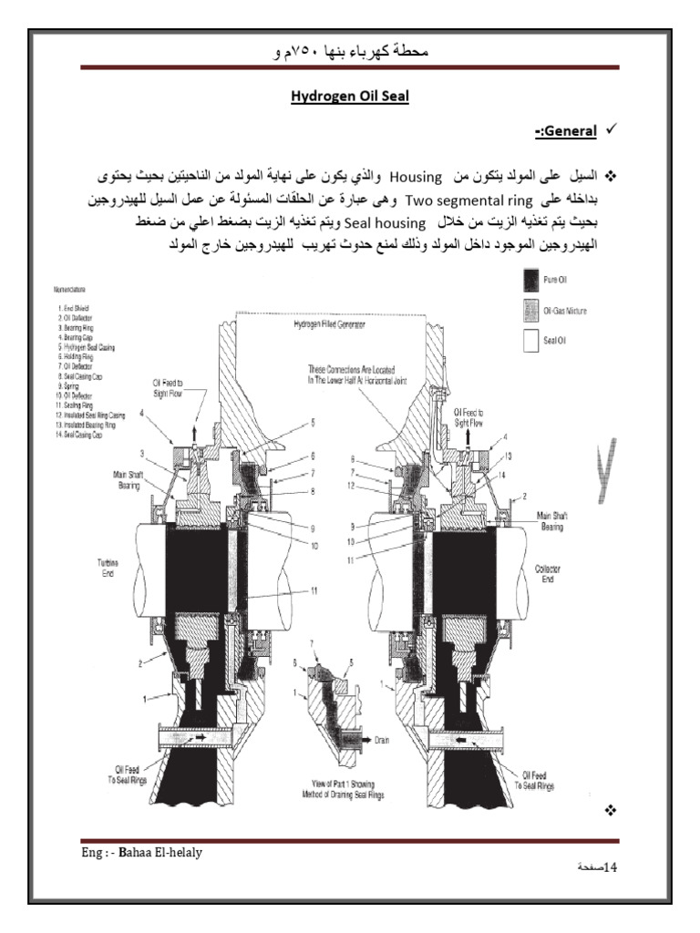 3-Sael Oil | PDF