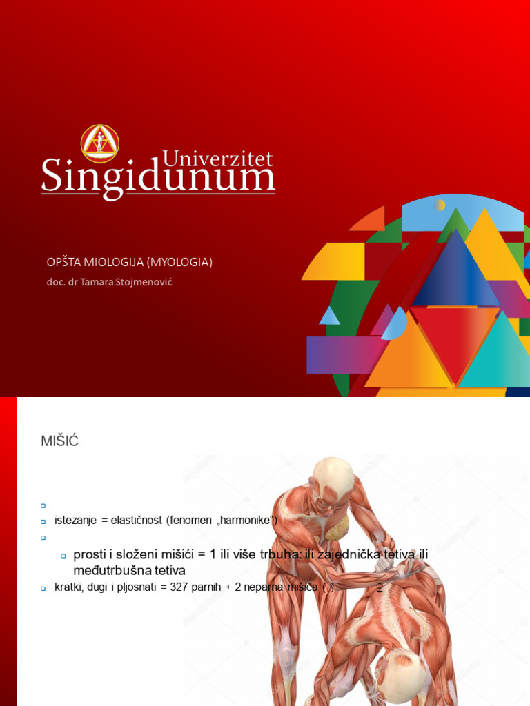 Opsta Miologija 7. | PDF