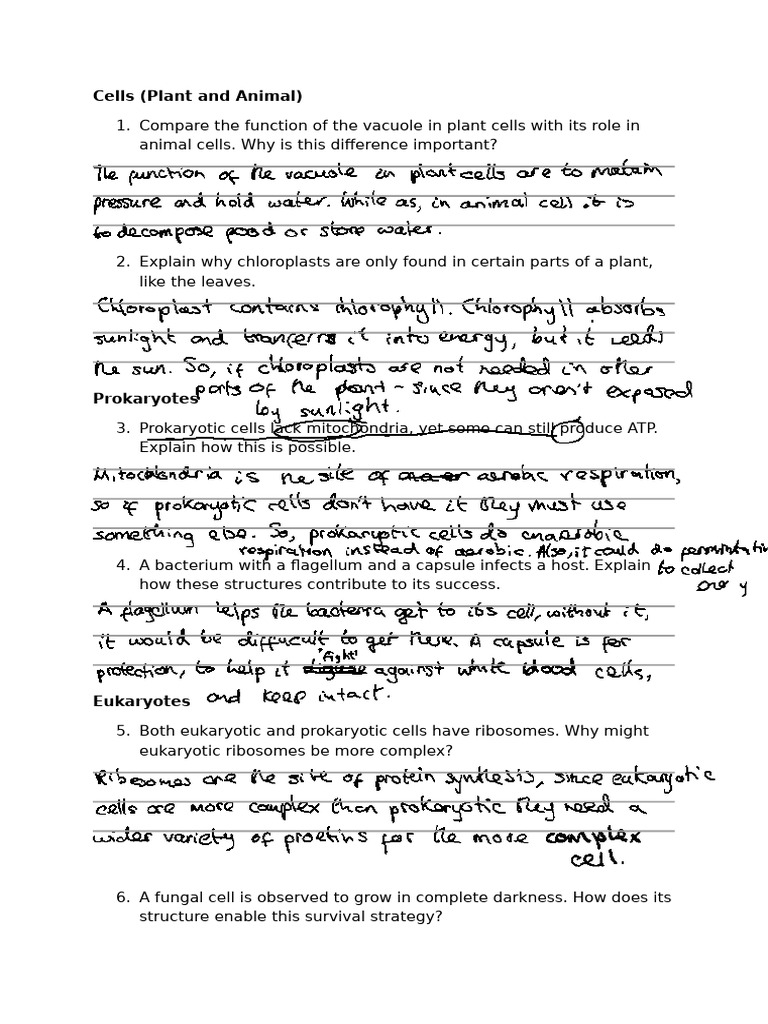 Biology Prep Exam 2 | PDF