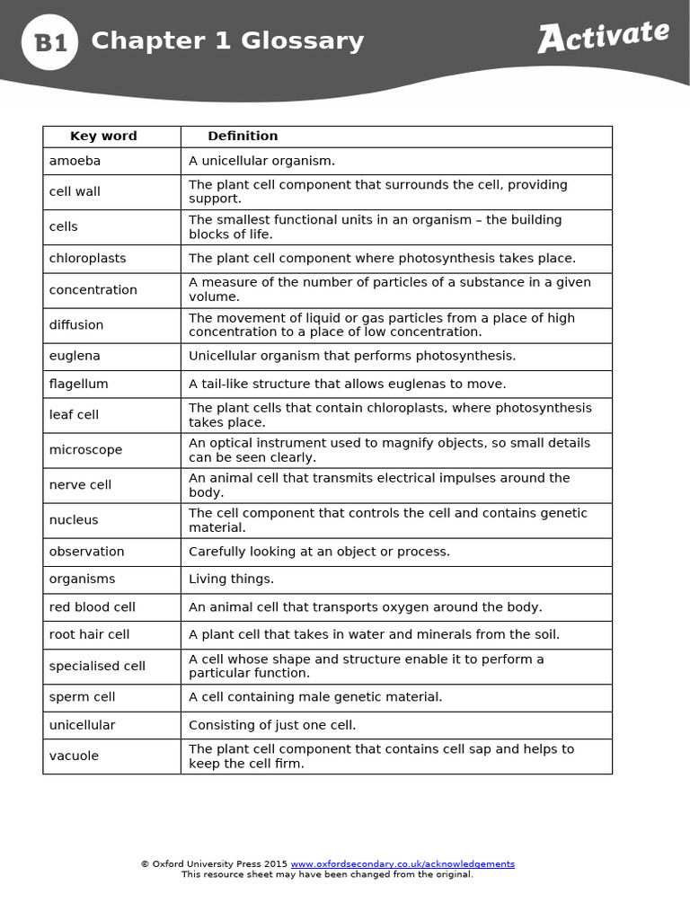 B1 Cells Glossary | PDF