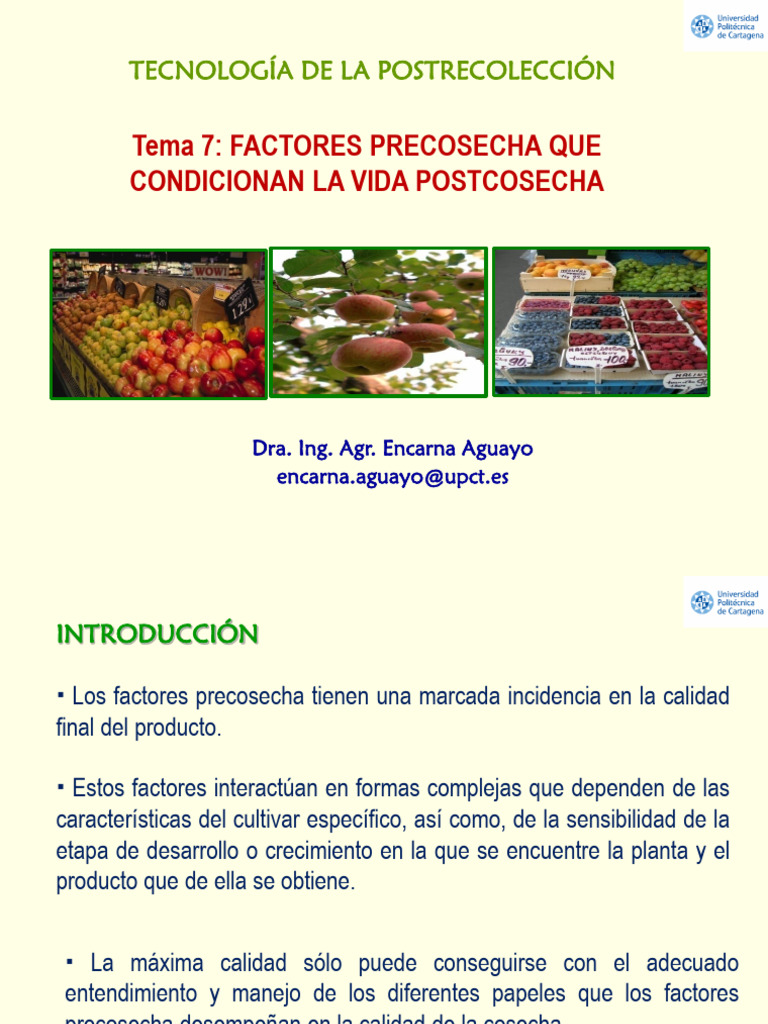 T07. Precosecha afectan calidad postcosecha_pwp | PDF | Calcio | Fruta