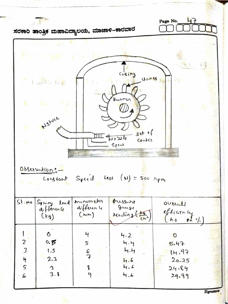 Tfe Lab Record | PDF
