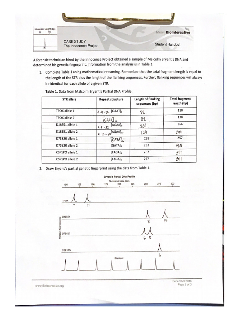 CASE STUDY (The Innocence Project) | PDF
