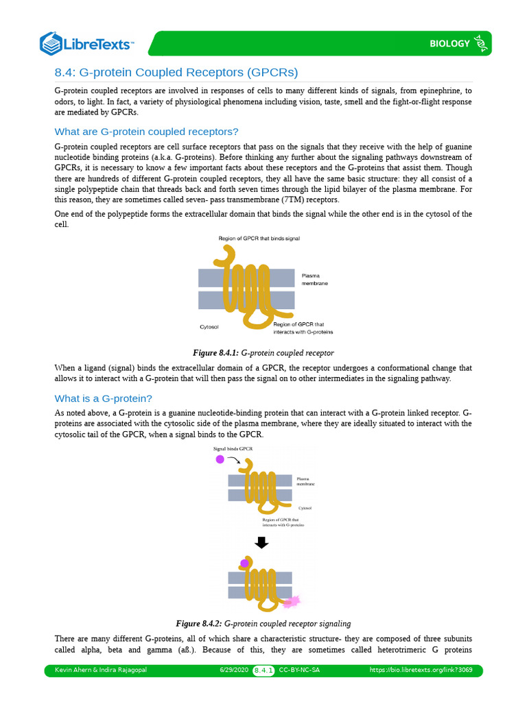 Understanding G-Protein Coupled Receptors | PDF | Cell Signaling ...