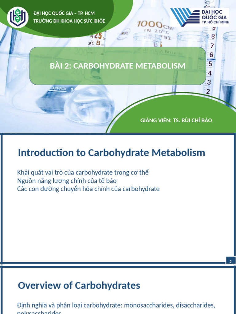 Bài 2 - Carbohydrate - Metabolism | PDF