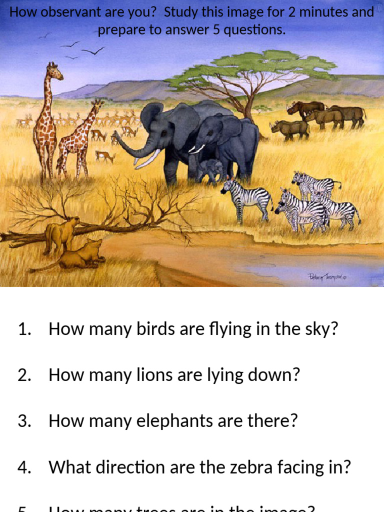 101436-388293-Lesson 1 What Is An Ecosystem | PDF | Nature | Natural ...