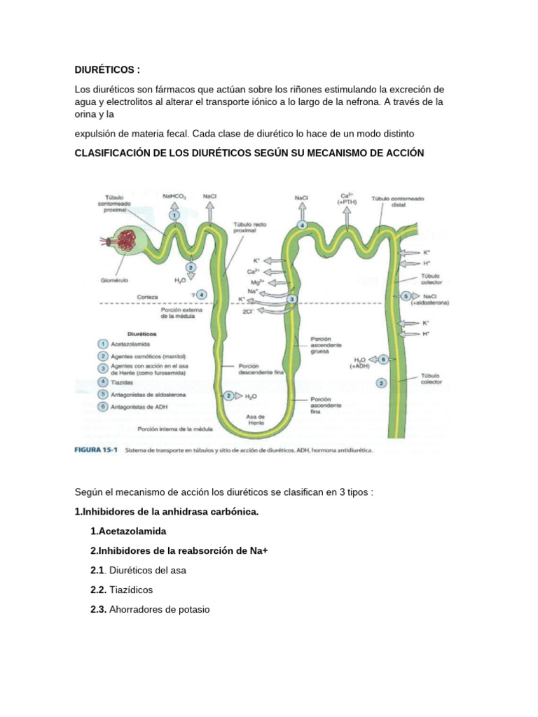 Clasificación y usos de diuréticos | PDF