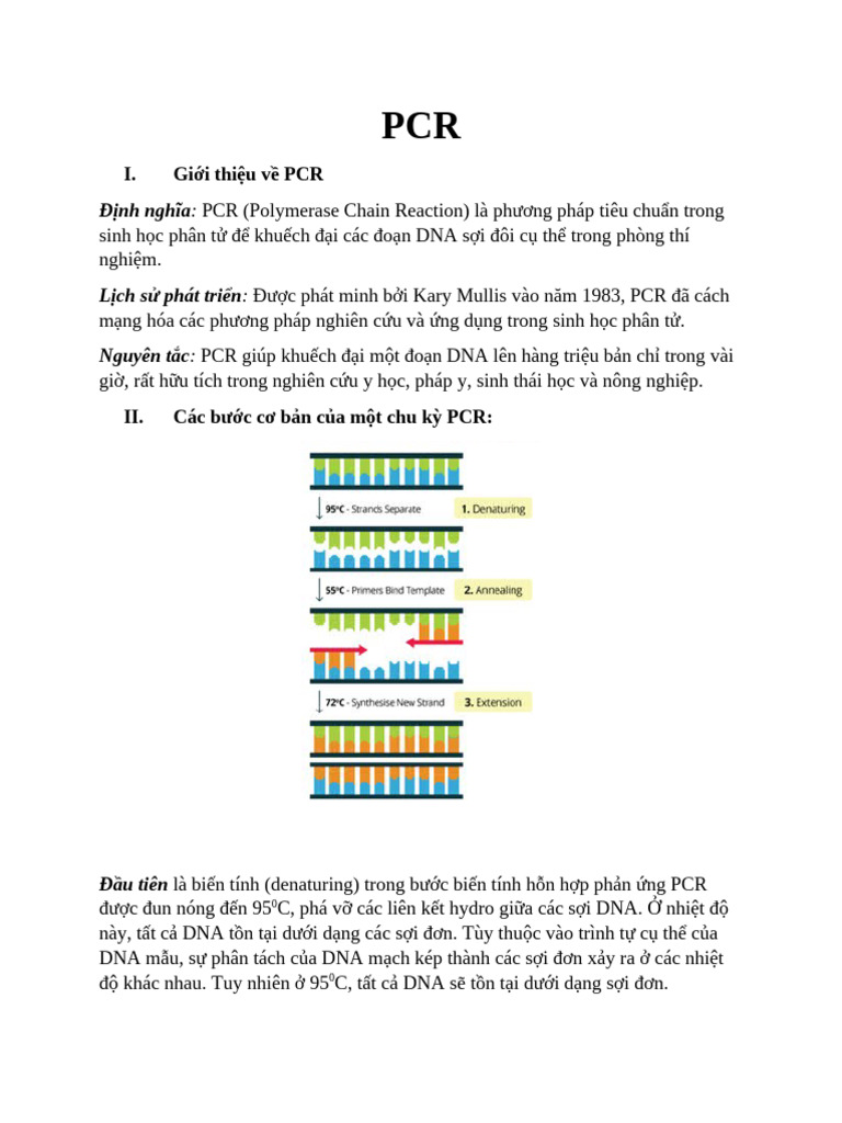 PCR 1 | PDF