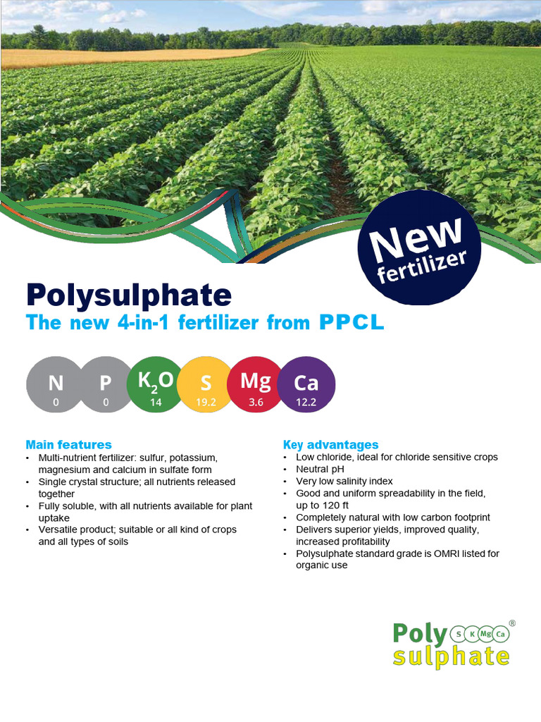 Polysulphate Fertilizer Overview | PDF | Fertilizer | Plant Nutrition