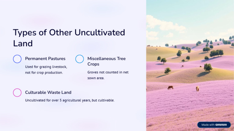 Types of Uncultivated Land Explained | PDF