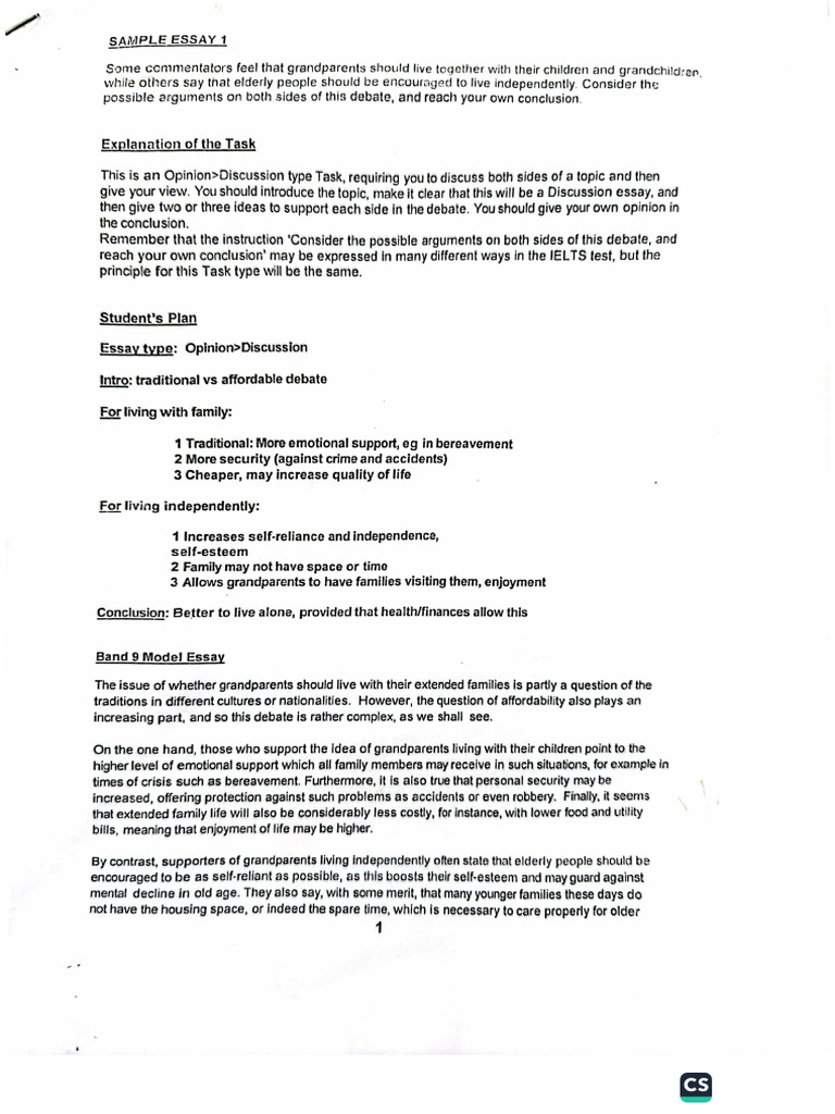 Essay Writing Practice | PDF