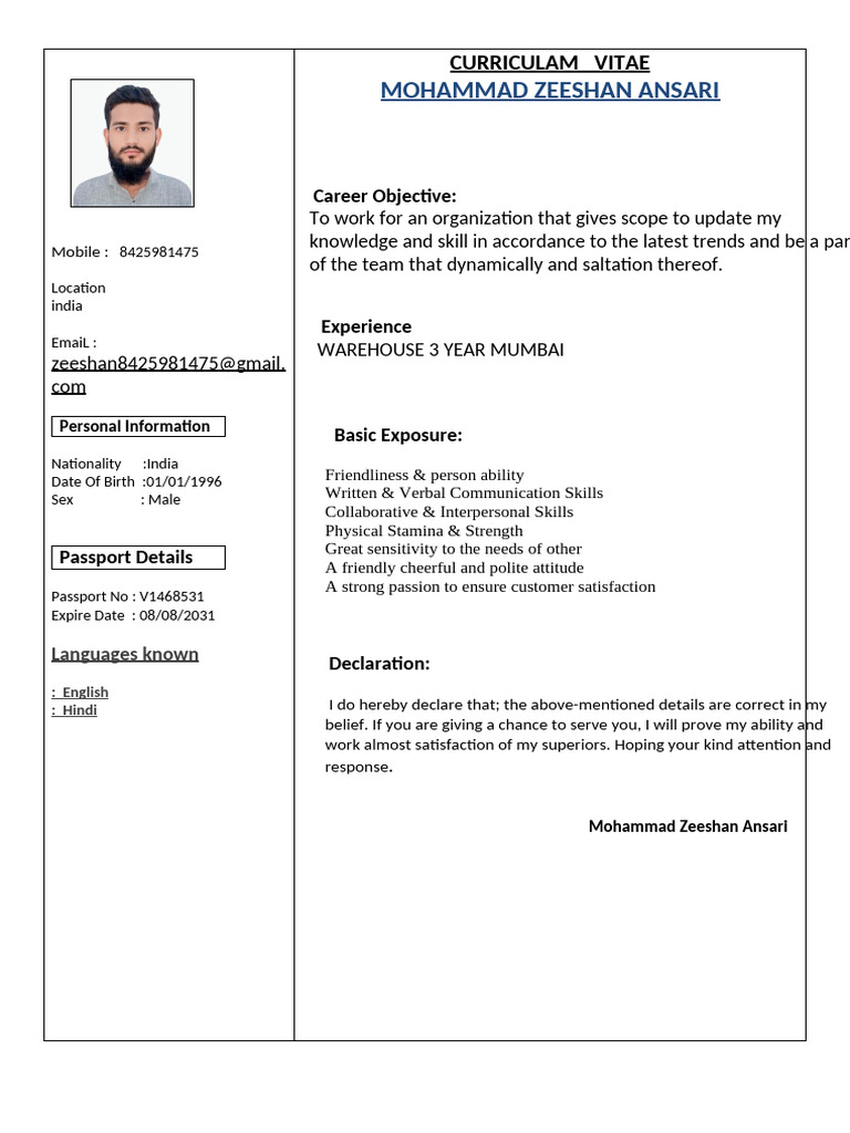 Mohammad Zeeshan Ansari: Career Objective | PDF
