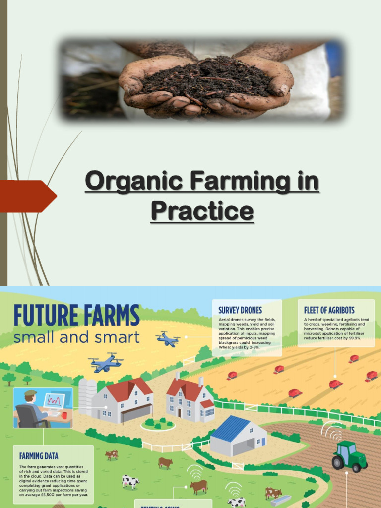 Organic Farming PDF | PDF