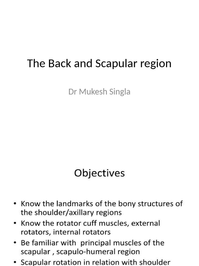 804_Scapular-and-back-region | PDF | Shoulder | Arm