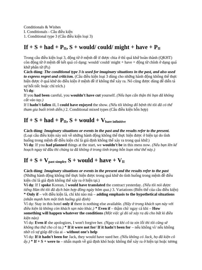 CONDITIONAL&WISHES | PDF