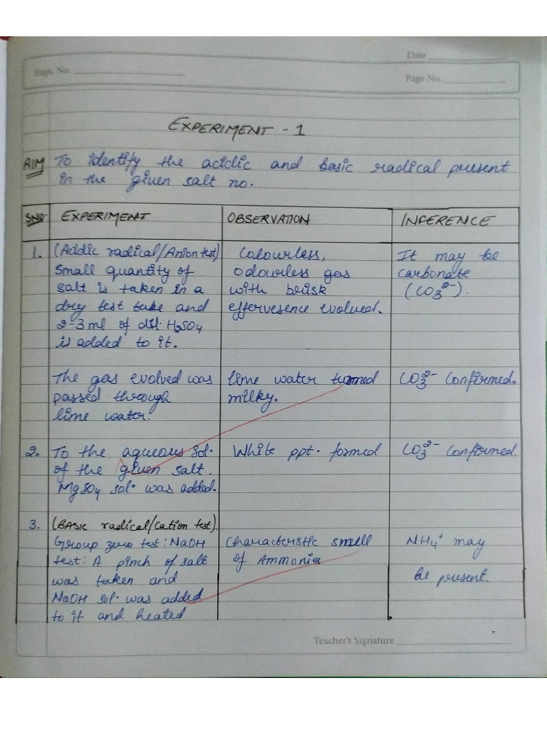 Chem Prac File | PDF