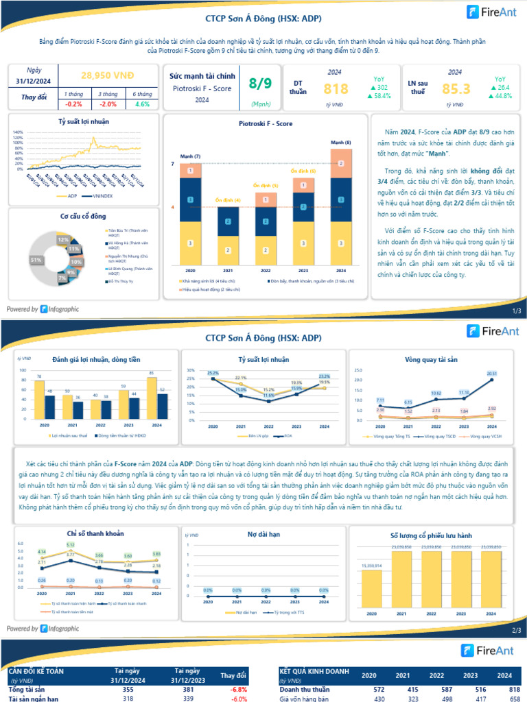 CTCP Sơn Á Đông (HSX: Adp) : S C M NH Tài Chính | PDF