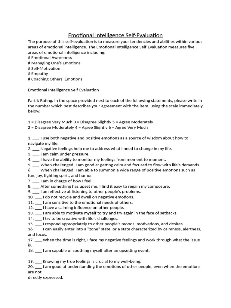 Emotional Intelligence Self Evaluation | PDF | Emotional Intelligence | Feeling