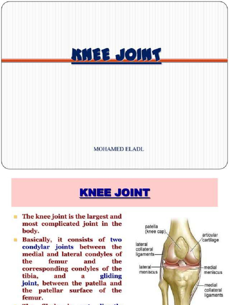 Anatomy of Knee Joint PDF | PDF