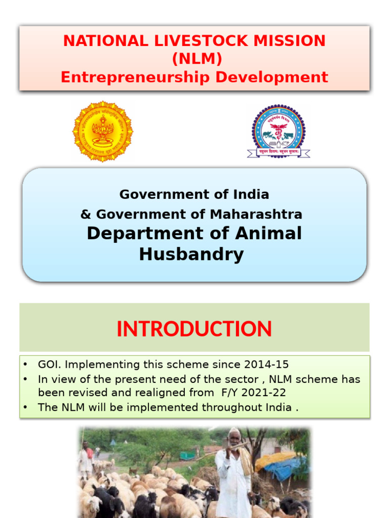 NLM Schemes Ed Detail PPT 30.06.2023-1 | PDF | Pig