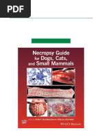 CBC Animal Production (Poultry Chicken) NC II | PDF | Occupational ...