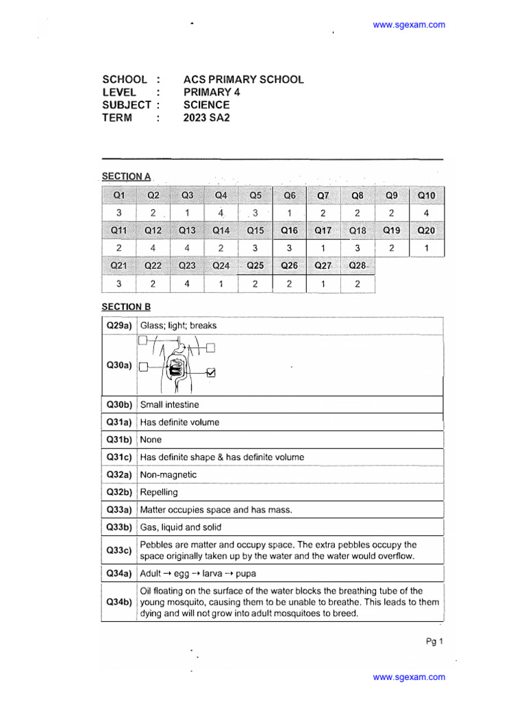 Answers For ACS School Wks | PDF