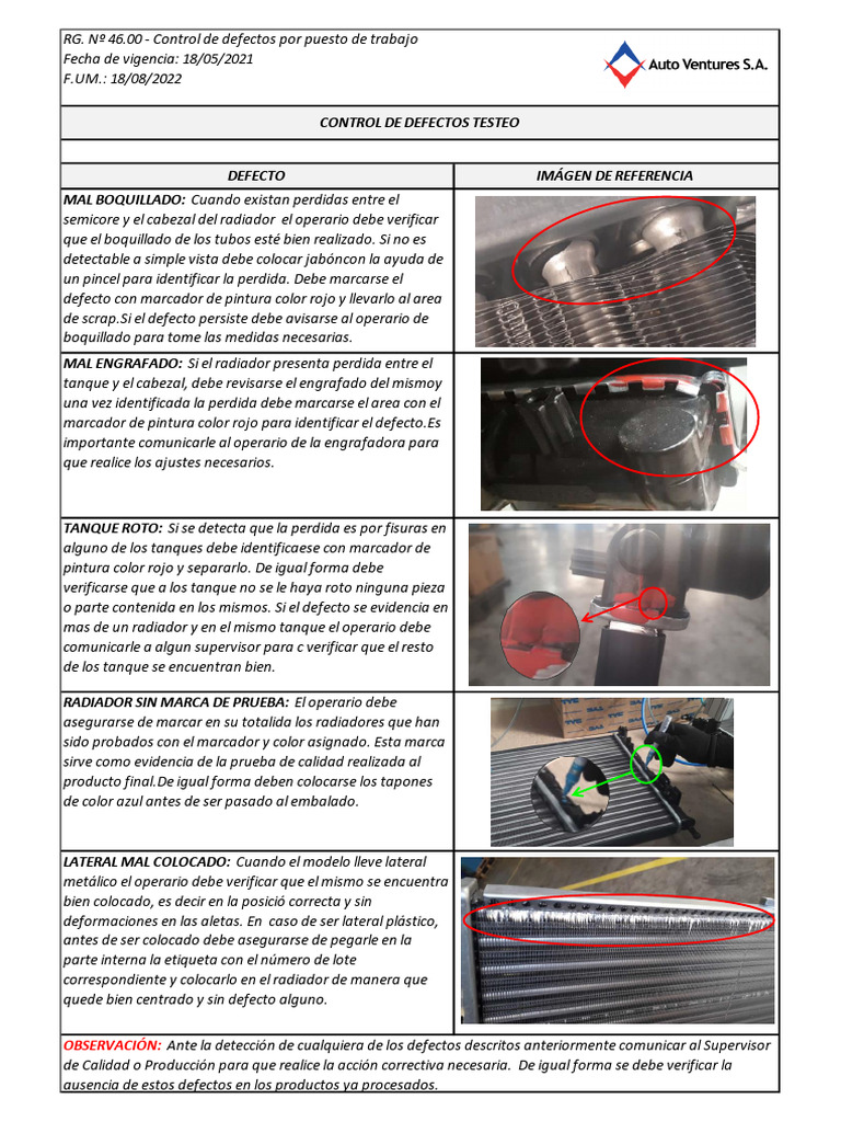 Control de Defectos Testeo | PDF
