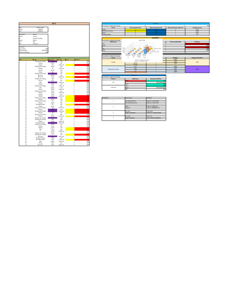 aleehasaleem23AR014-Lab 11 | PDF | Hairstyle | Hairdressing