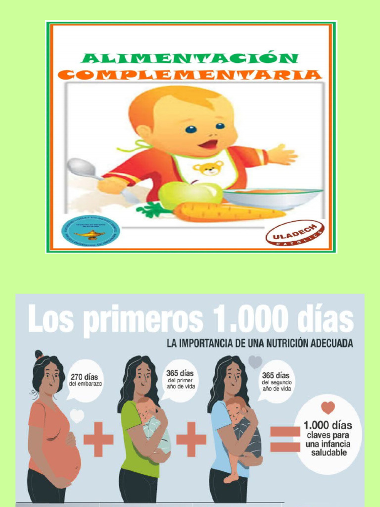Alimentacion Complementaria | PDF | Alimentos | Nutrición